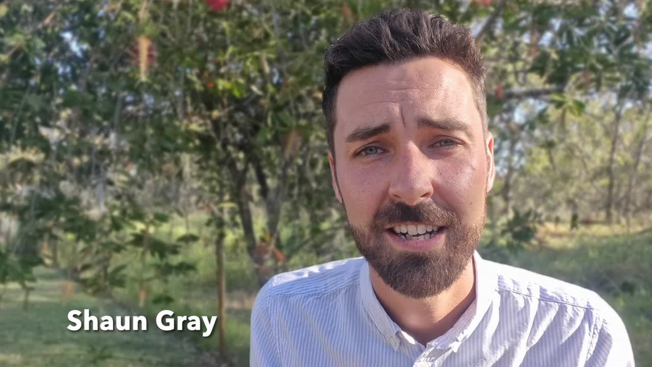 TailoredTeachingOnline